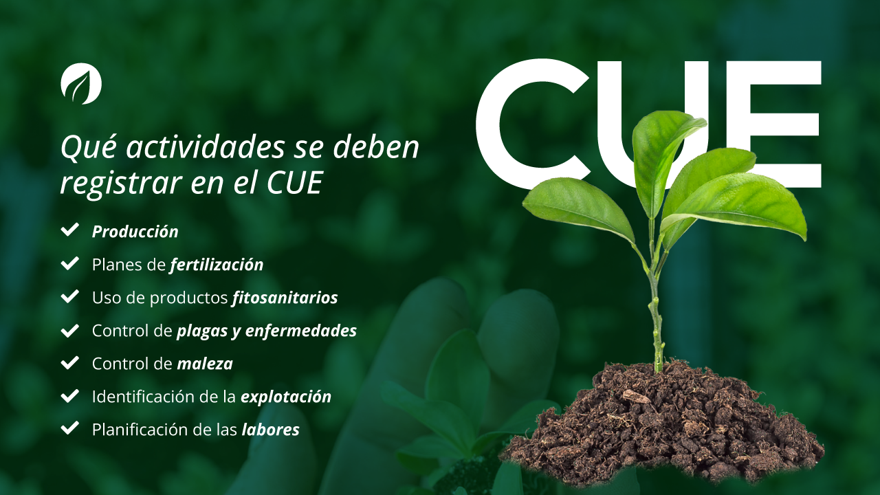 El CUE obligatorio en España: Entendiendo la nueva regulación y cómo ...